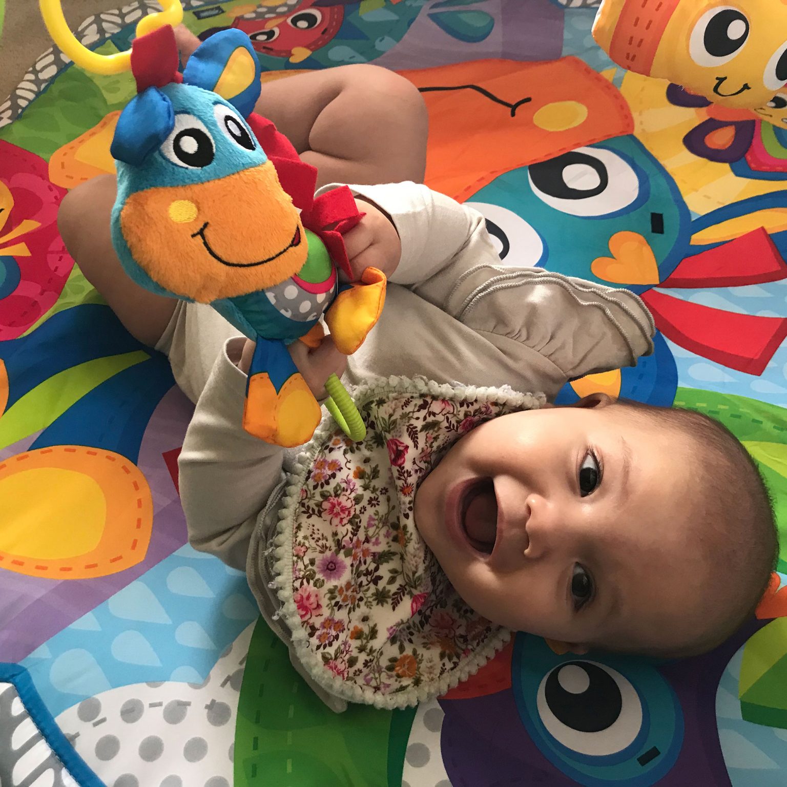 Clip Clop Musical Activity Gym – Playgro United Kingdom